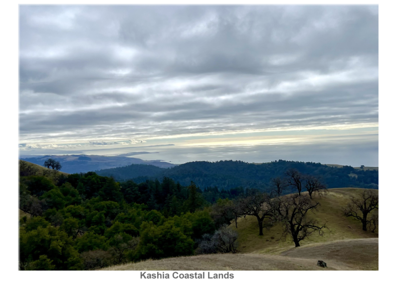 Kashia Pomo Indian Tribe – Kashia Pomo Indian Tribe 1